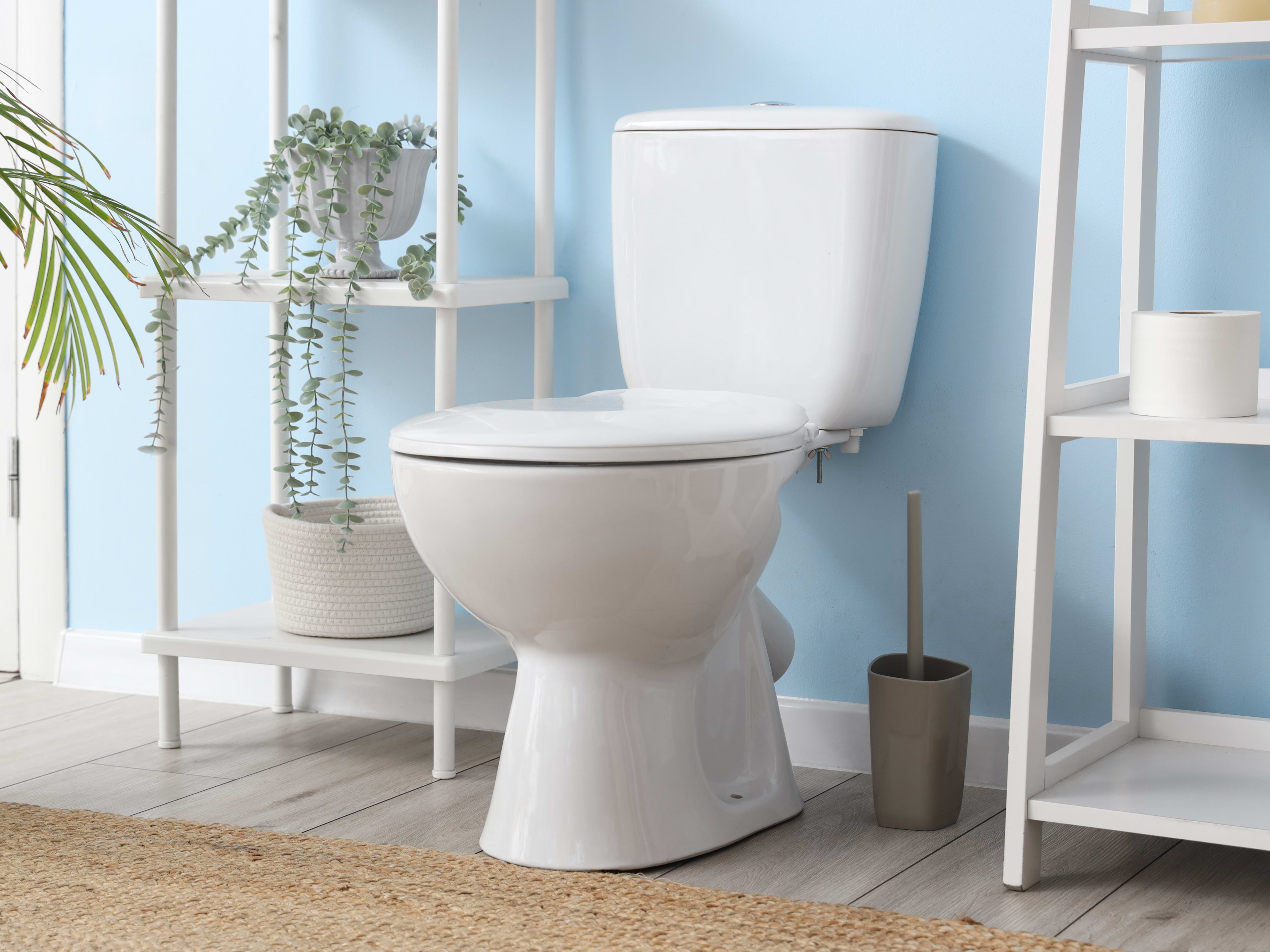 The Real Reason People Are Dumping Ice Cubes Into Their Toilets ...