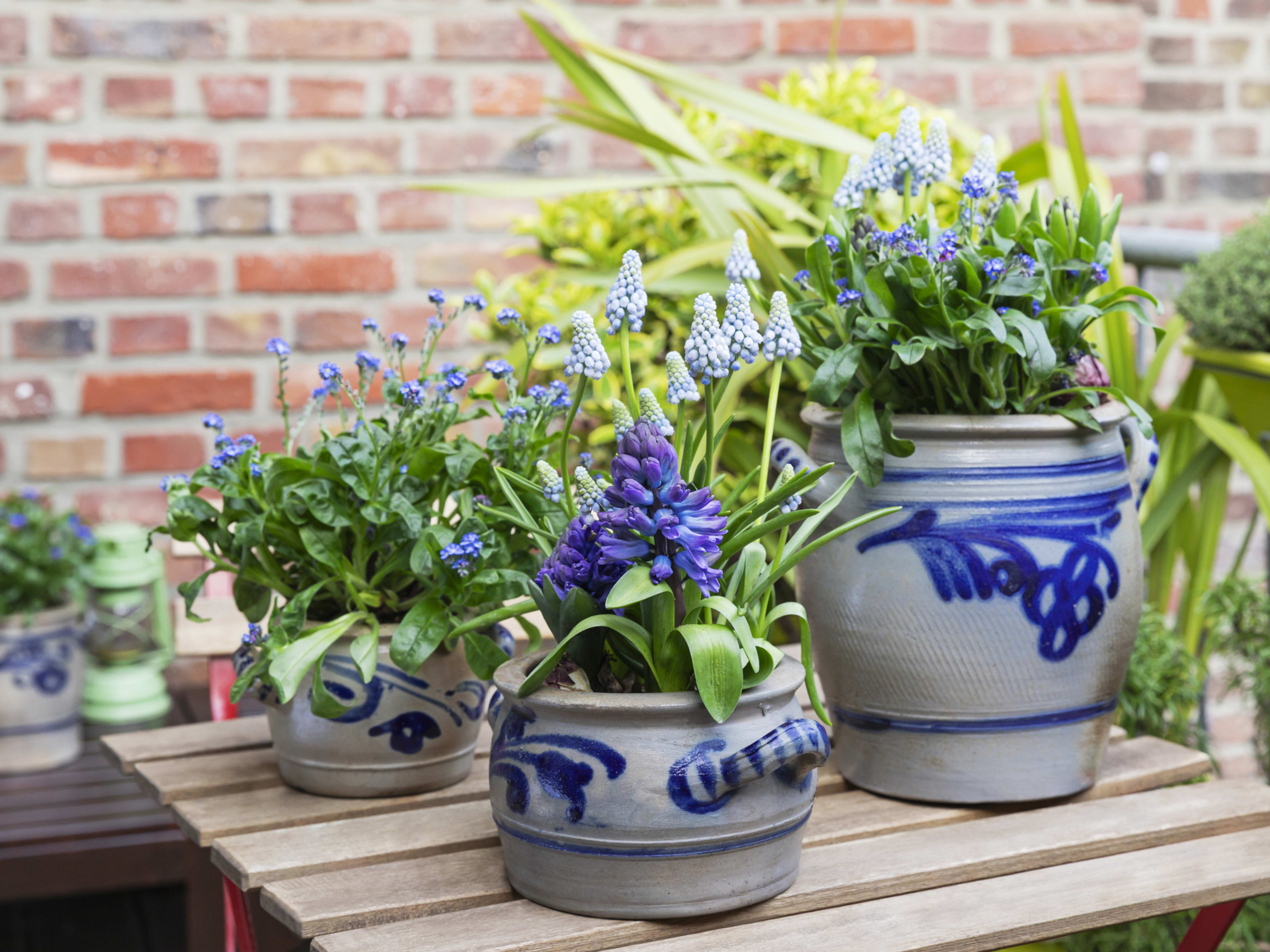 Spring Planter Ideas: 27 Container Garden Combos We Love