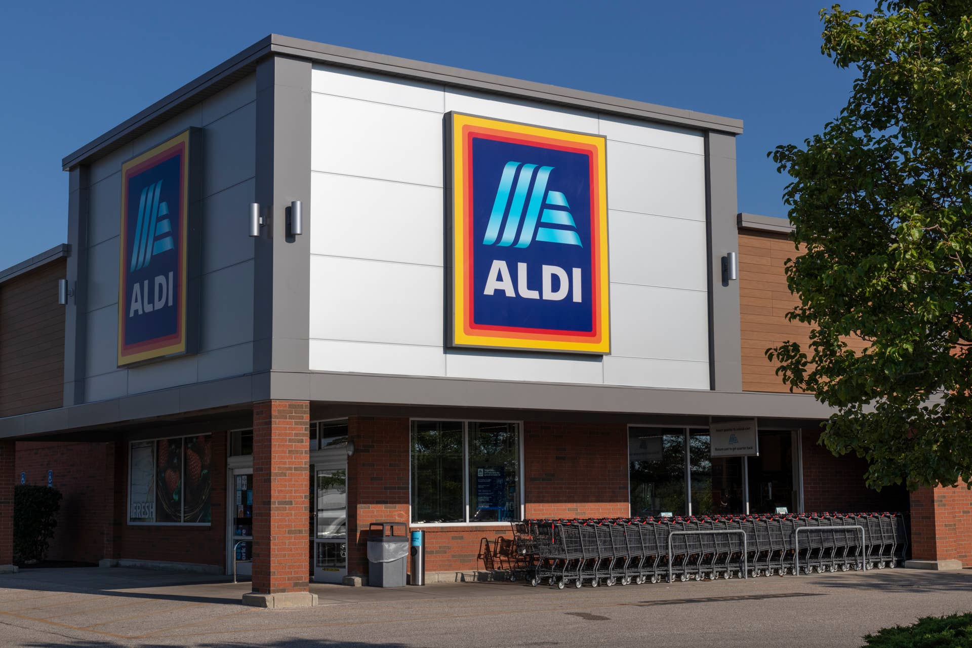 ALDI Just Brought Back a Fan-Favorite Spring Find That Looks Straight ...