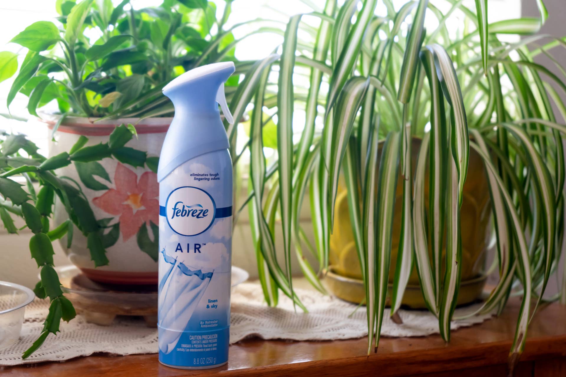 Febreze's Scent of the Year Is a Must-Have - Parade Home & Garden