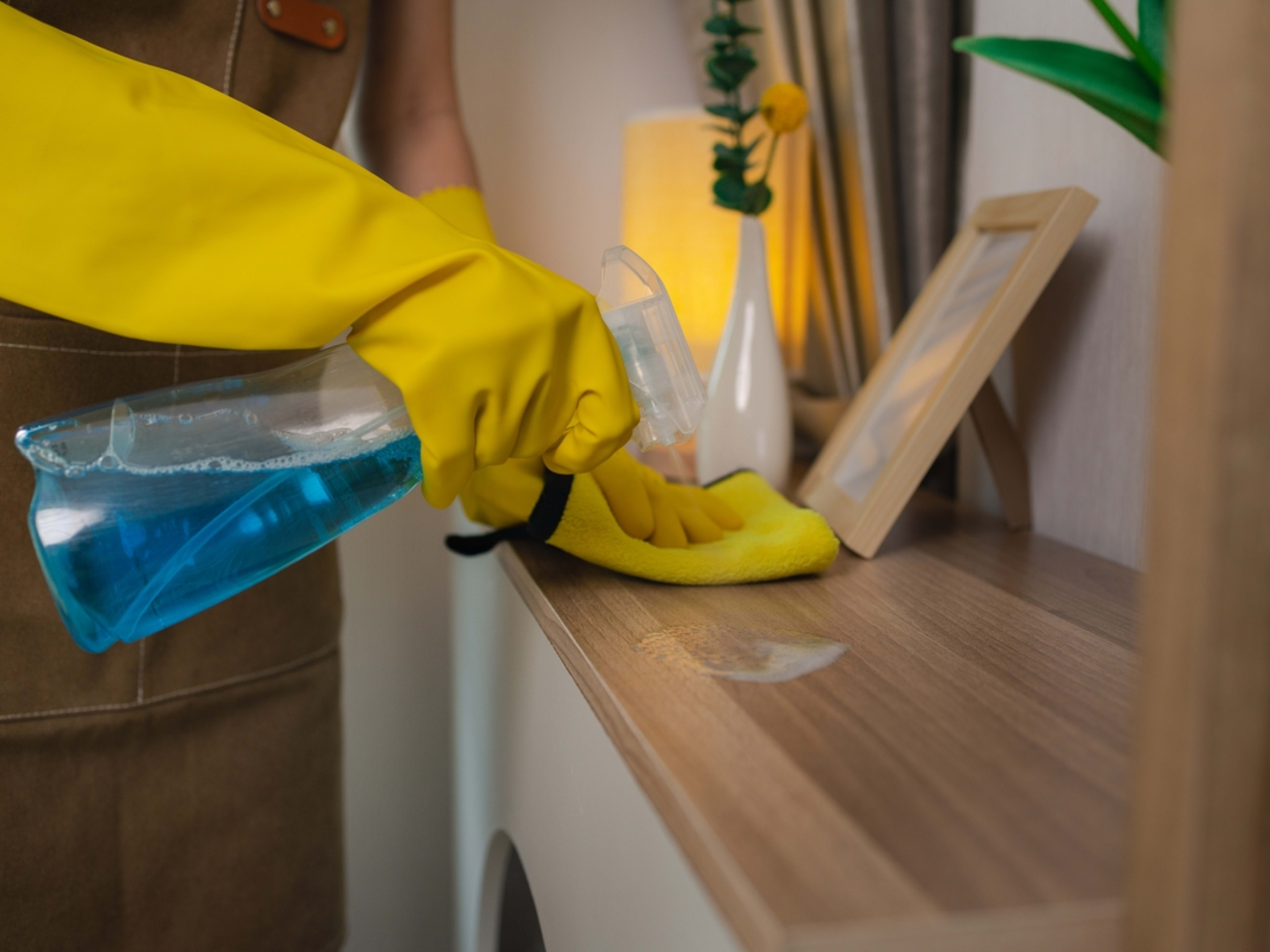 Woman Finds Dollar Tree Dupes for Rich-Smelling Cleaning Products