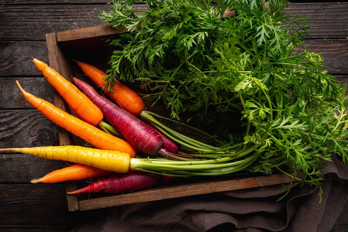 Here’s the Carrot Bouquet Tutorial You Didn’t Know You Needed - Parade ...