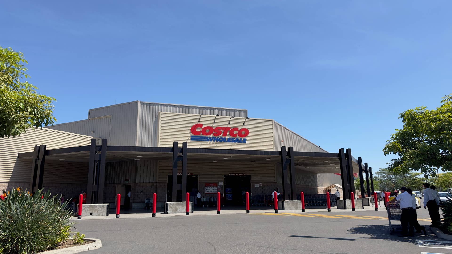 You Can Grow Avocados In Your Yard Thanks To Costco - Parade Home & Garden