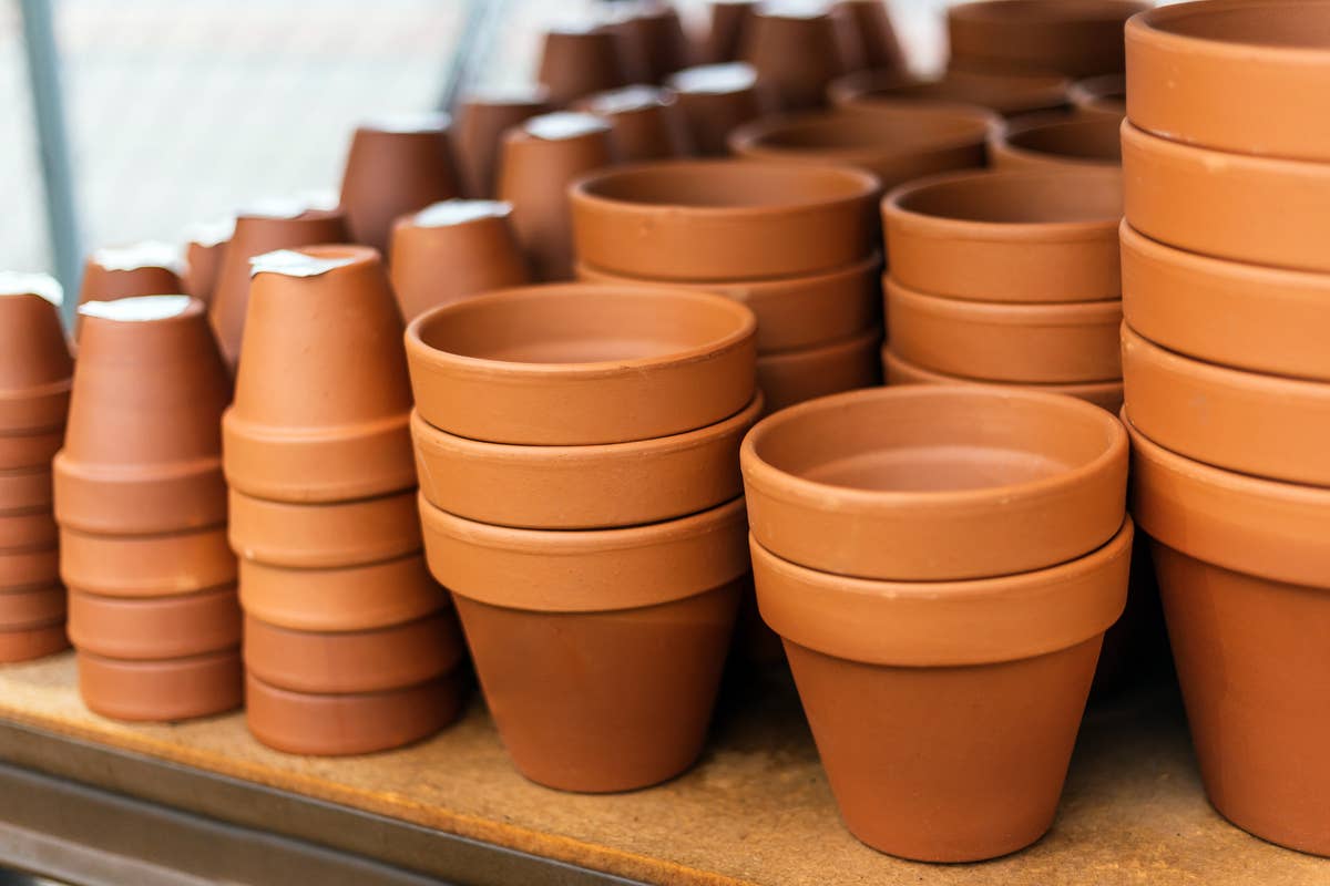 Here's How to DIY an Olla Pot, According to TikTok - Parade Home & Garden