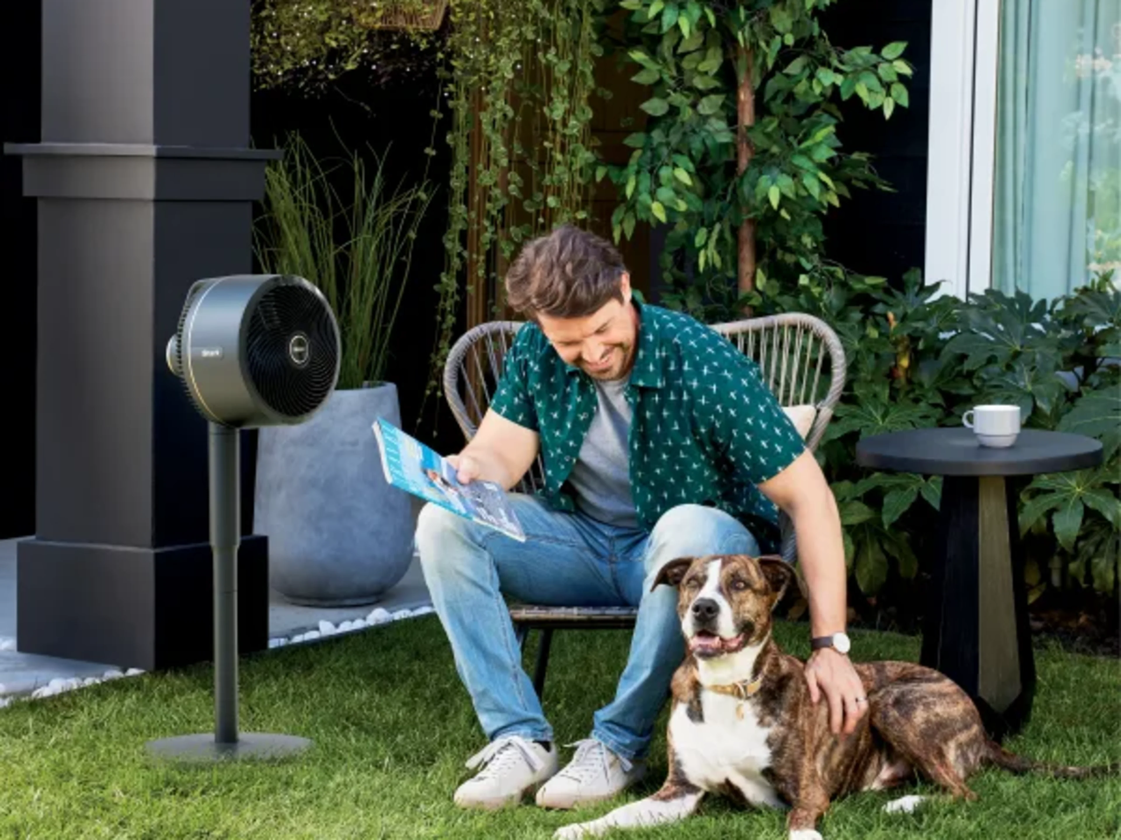 Here's My Honest Review of the Shark FlexBreeze Fan - Parade Home & Garden