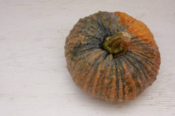 21 Different Types of Pumpkins You'll See This Fall - Parade Home & Garden