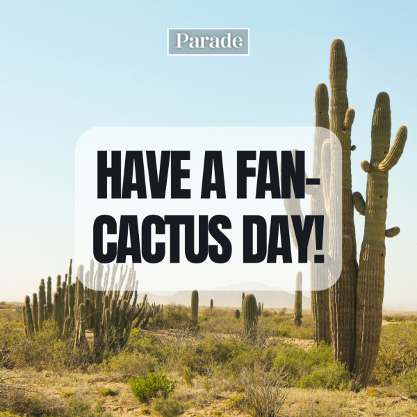 125 Plant Puns, Jokes - Parade Home & Garden