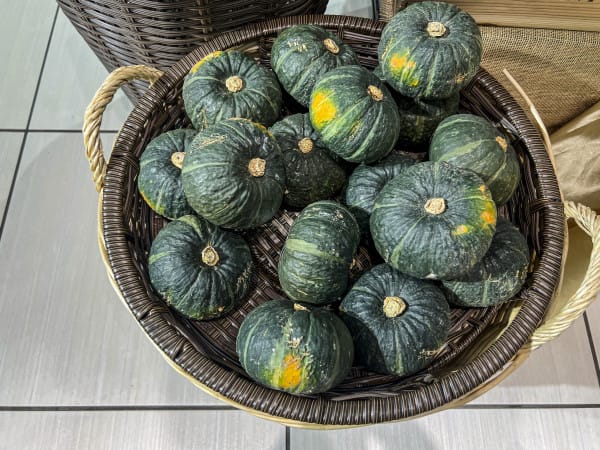 21 Different Types of Pumpkins You'll See This Fall - Parade Home & Garden