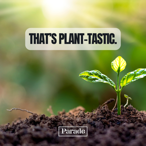125 Plant Puns, Jokes - Parade Home & Garden