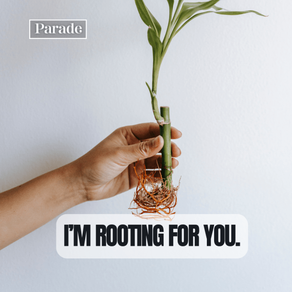 125 Plant Puns, Jokes - Parade Home & Garden