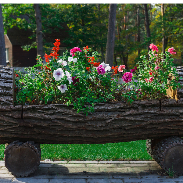 39 Raised Garden Bed Ideas - Parade Home & Garden