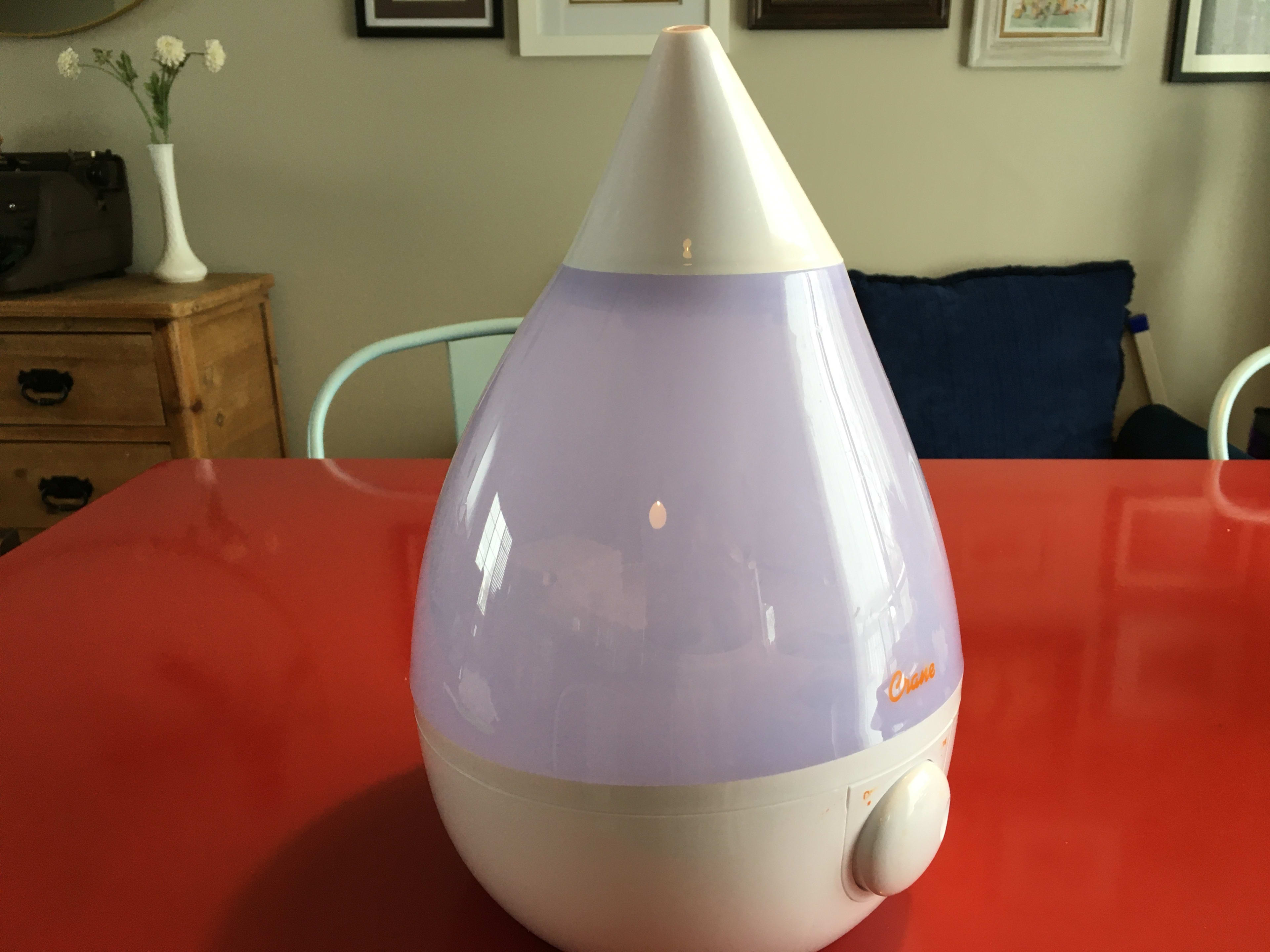 How To Clean a Humidifier (Step-By-Step With Photos) - Parade Home & Garden