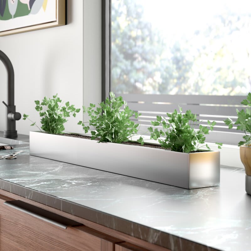 Indoor Vegetable Garden: How To Grow Vegetables Indoors - Parade Home ...