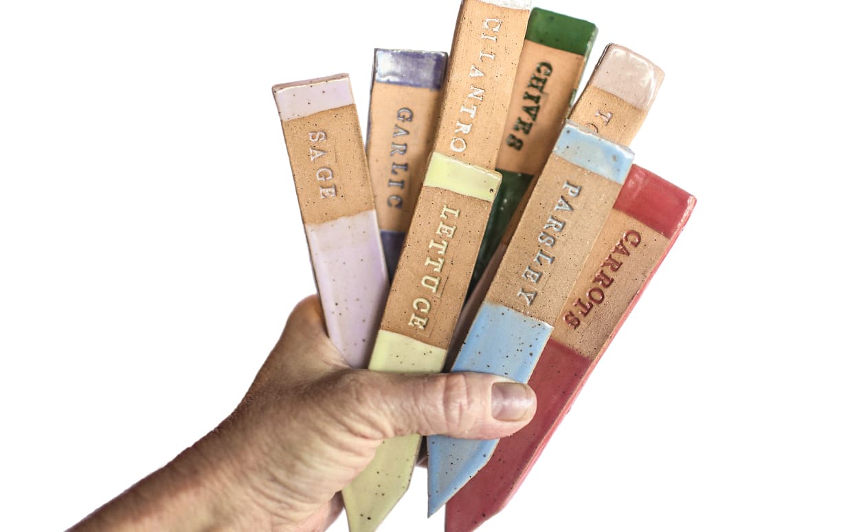 5 Tips for Starting Your First Garden—or Just Growing a Plant - Parade ...