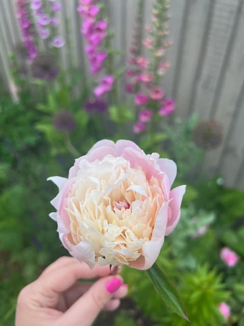 40 Spring Flowers to Beautify Your Backyard (With Images) - Parade Home ...