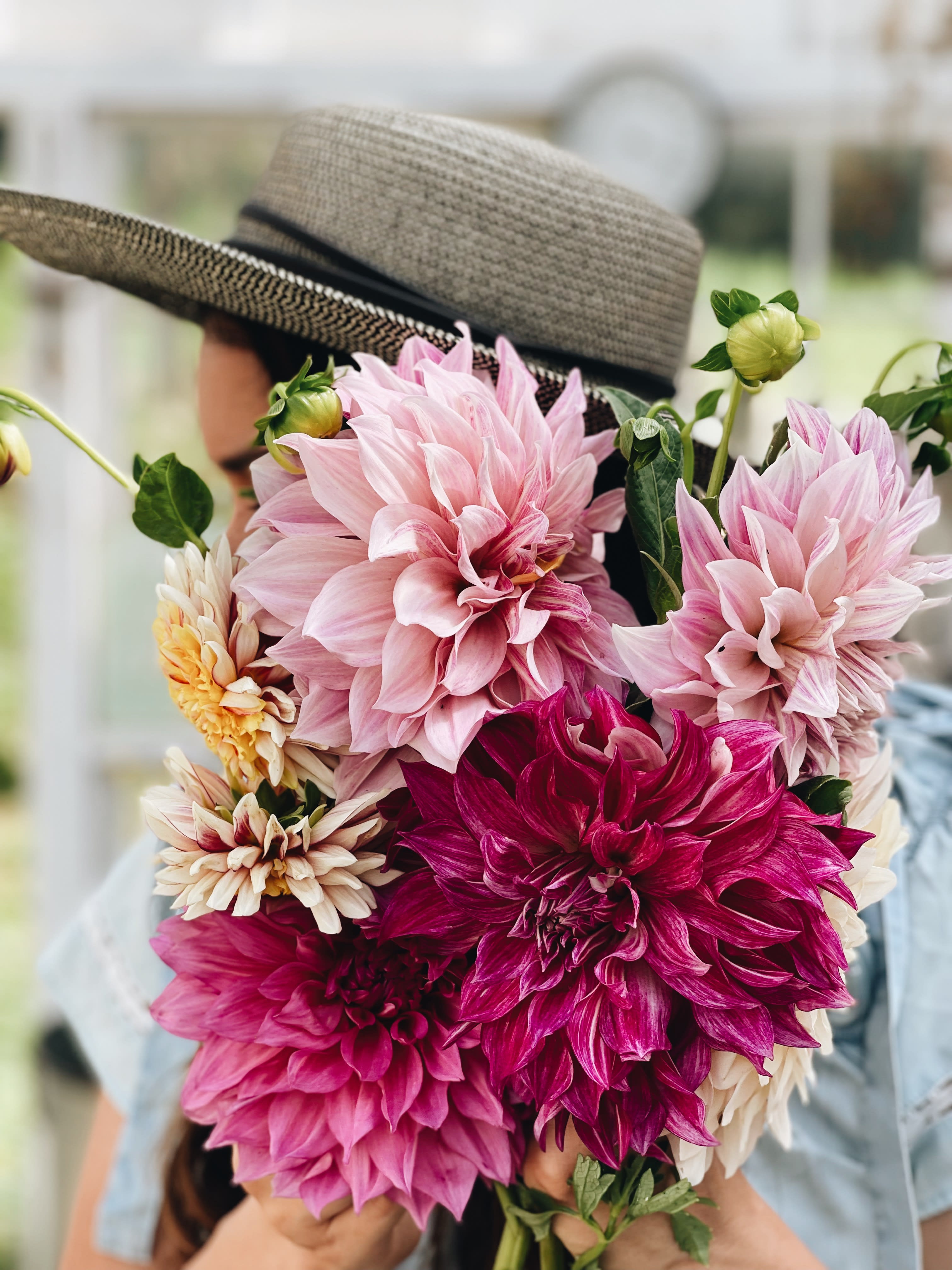 25 Types of Pink Flowers (With Photos, Growing Tips) - Parade Home & Garden