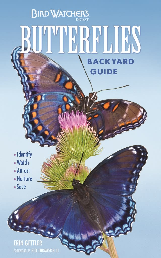 Watch Butterflies in Your Spring Garden - Parade Home & Garden