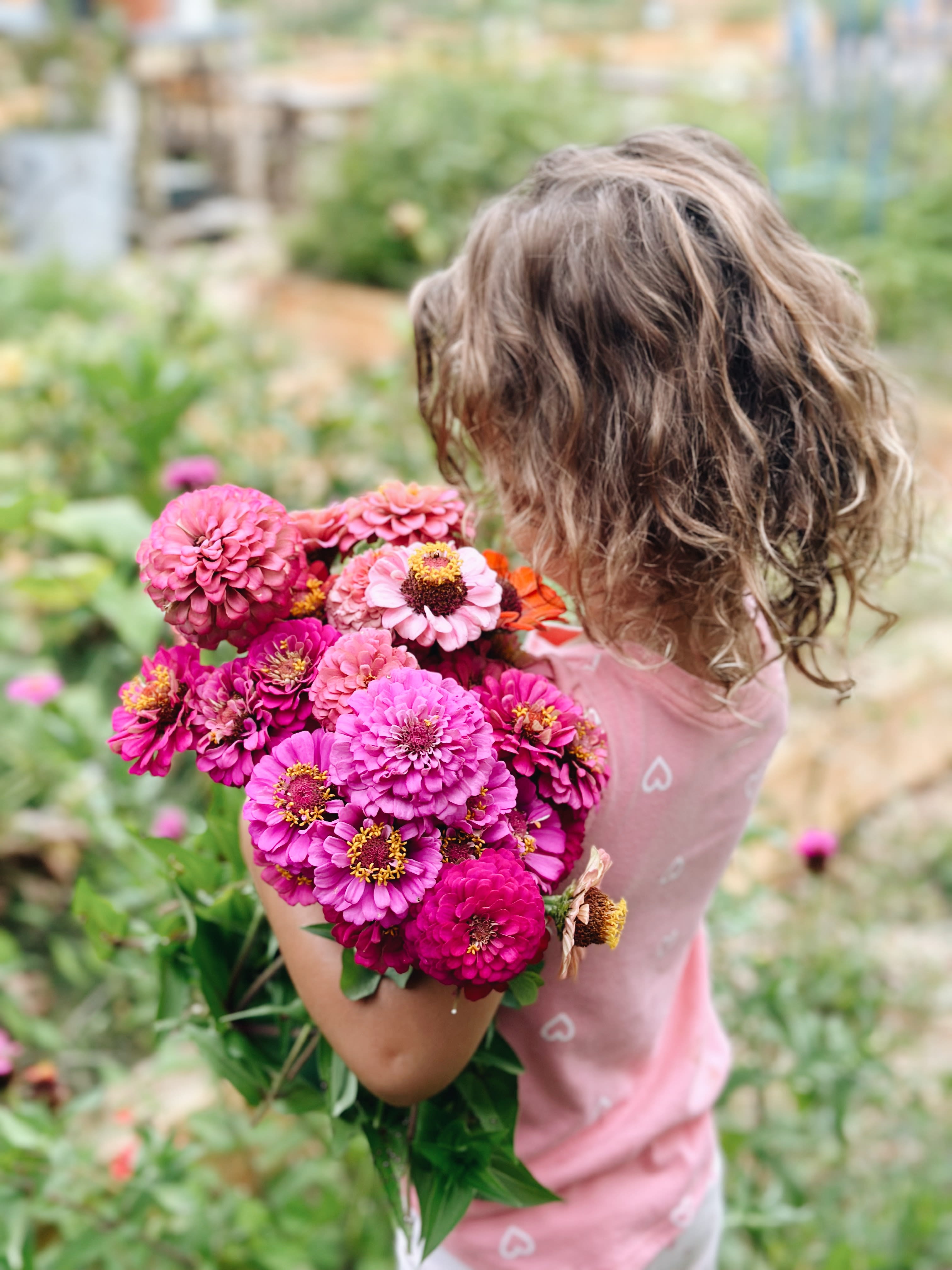 25 Types of Pink Flowers (With Photos, Growing Tips) - Parade Home & Garden