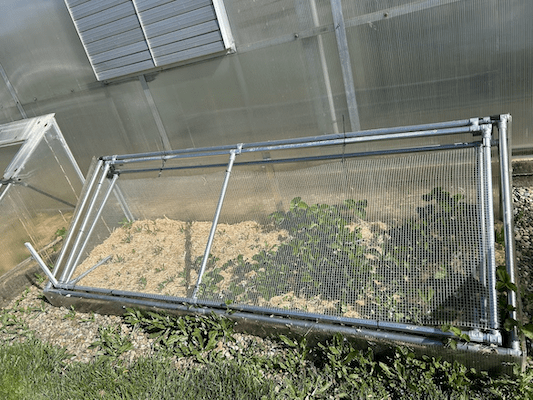 45 Small Garden Ideas (With Expert Tips, Photos)