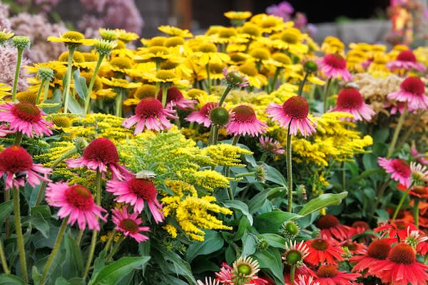 45 Small Garden Ideas (With Expert Tips, Photos)