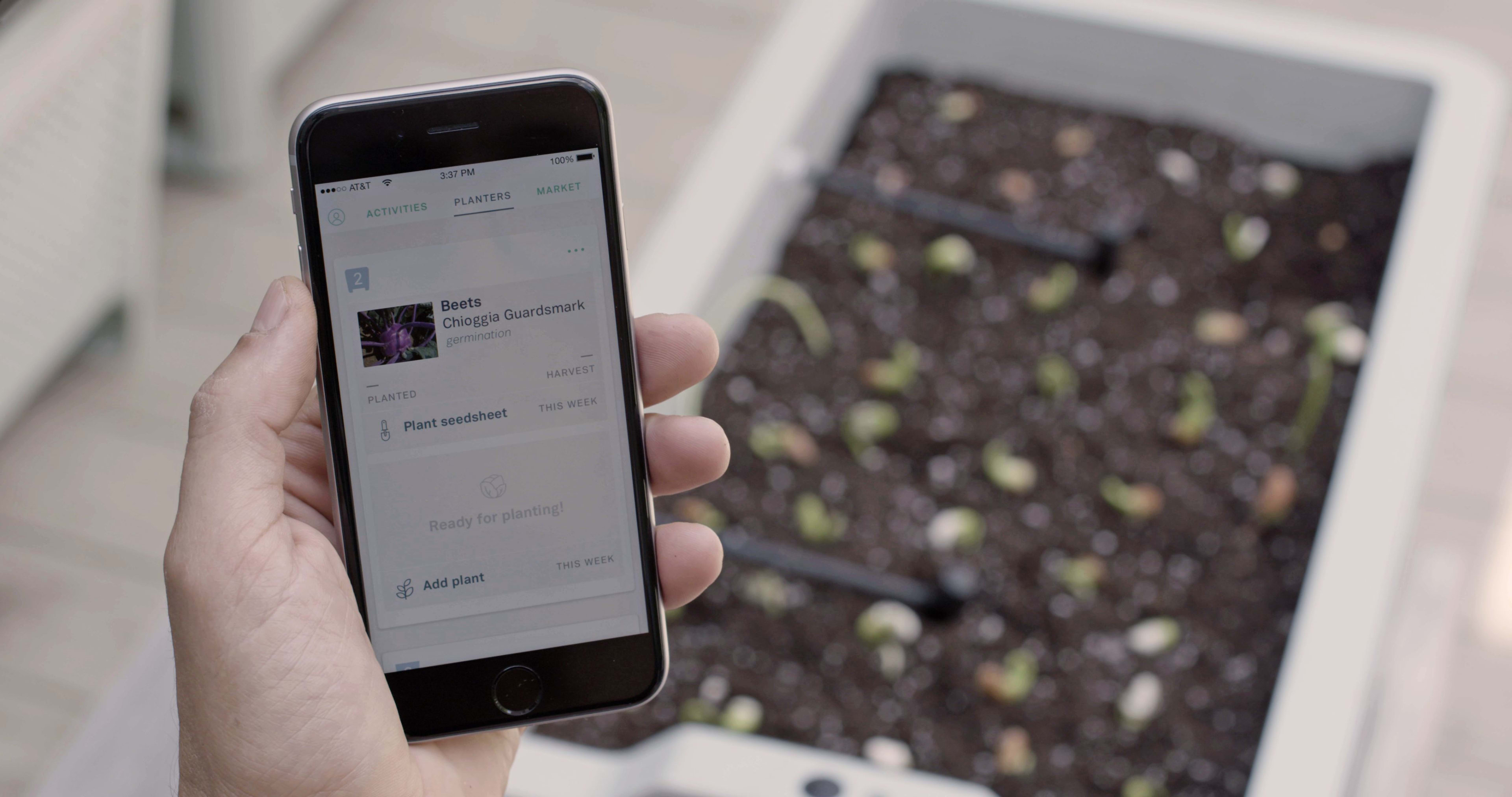 Container Gardening Success with GROW Duo