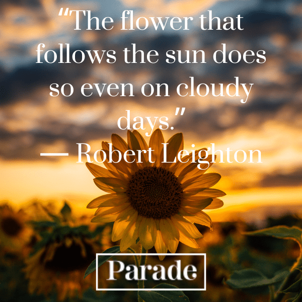 75 Sunflower Quotes To Bring You Joy - Parade Home & Garden