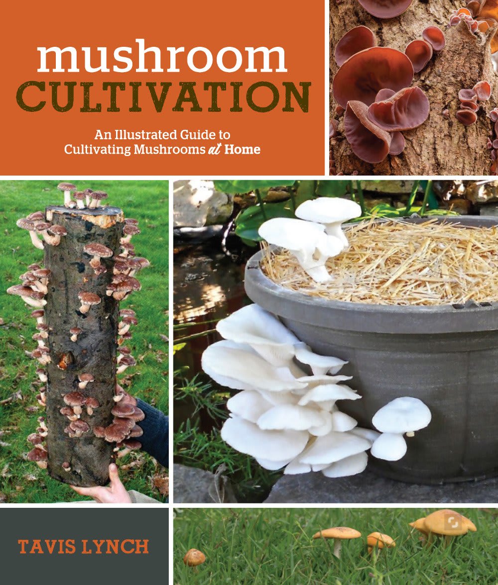 How to Grow Your Own Mushrooms at Home - Parade Home & Garden