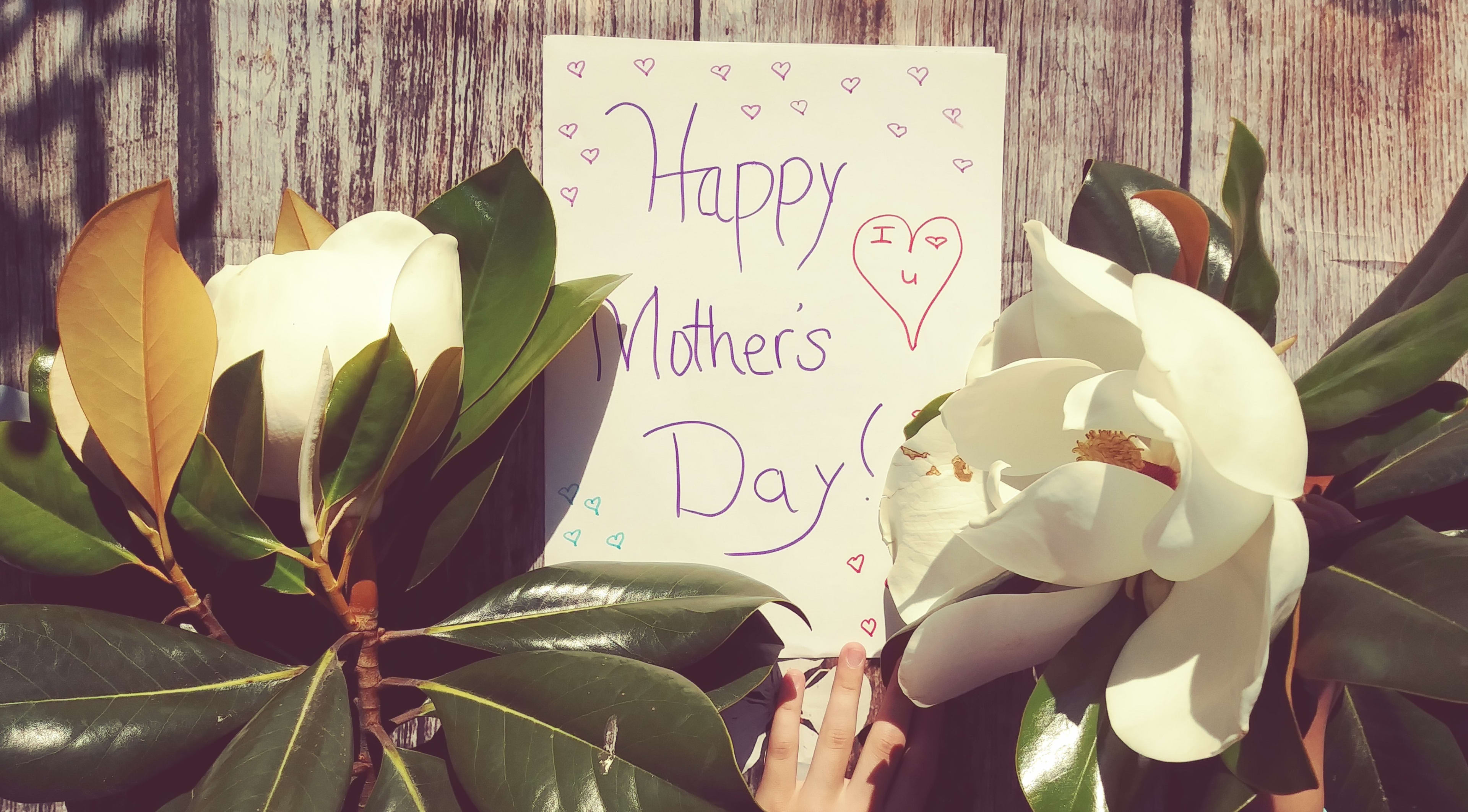 Who Is Tarek El Moussa? 32 Facts About the HGTV Star - Parade Home & Garden