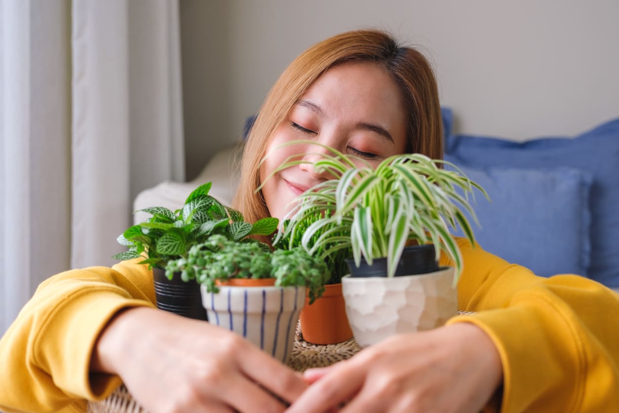 111 Creative Names for Your Houseplants—AKA Your Sweet, Precious ...