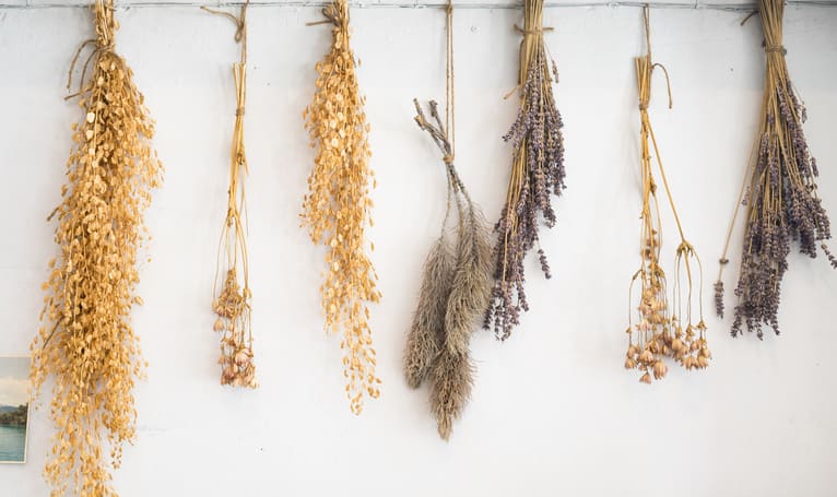How to Dry and Preserve Flowers - Parade Home & Garden
