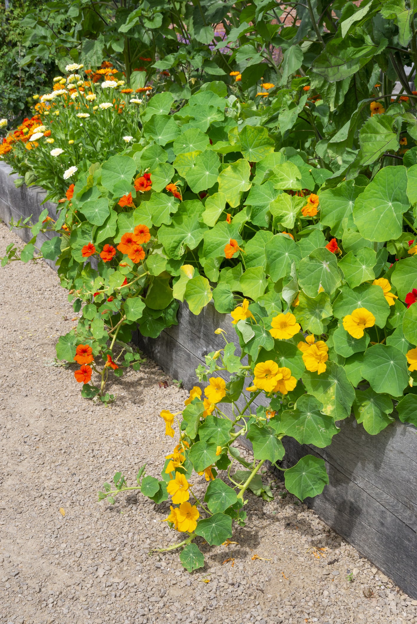 35 Landscape Edging Ideas for an Extra Classy Lawn and Garden - Parade ...