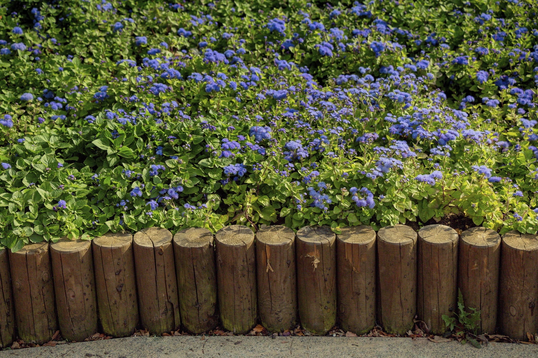 35 Landscape Edging Ideas for an Extra Classy Lawn and Garden - Parade ...