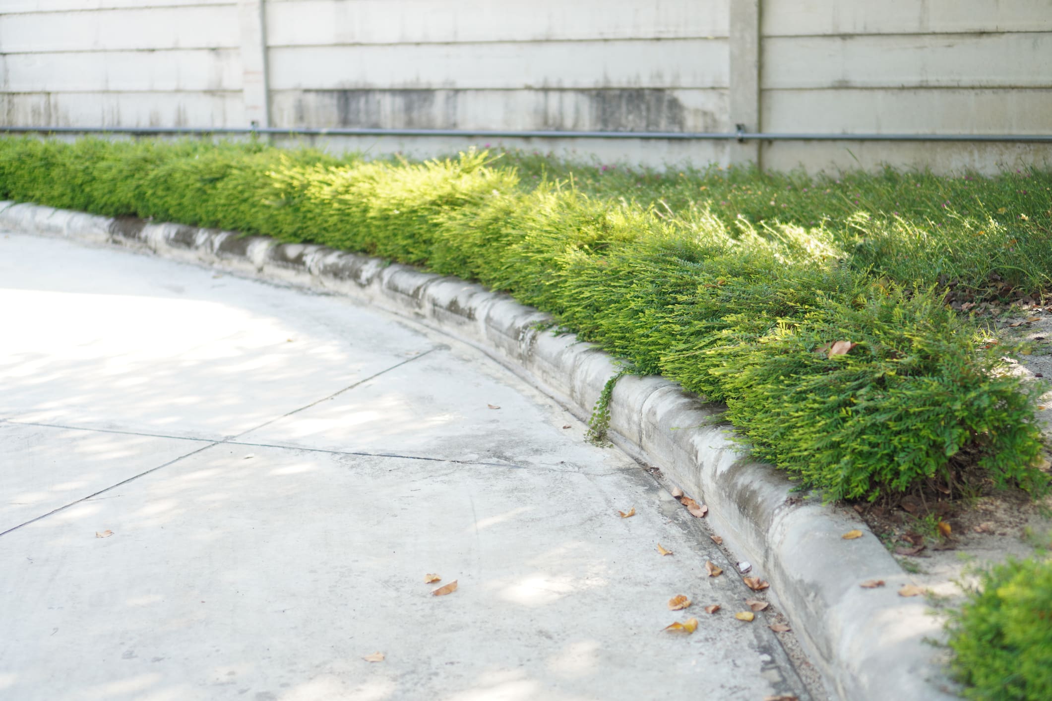 35 Landscape Edging Ideas for an Extra Classy Lawn and Garden - Parade ...