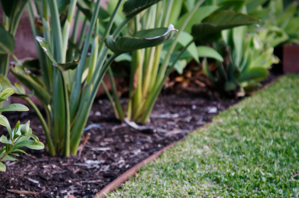 35 Landscape Edging Ideas for an Extra Classy Lawn and Garden - Parade ...