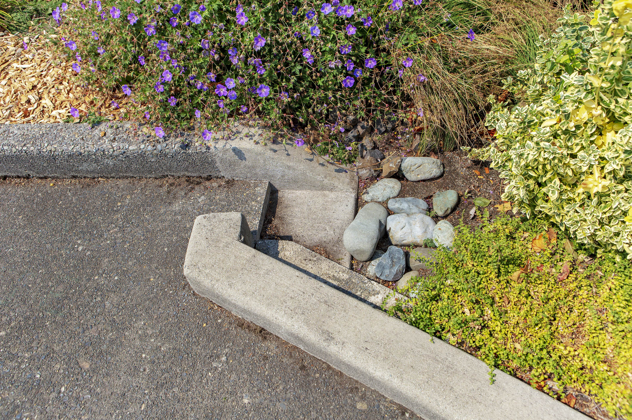 35 Landscape Edging Ideas for an Extra Classy Lawn and Garden - Parade ...