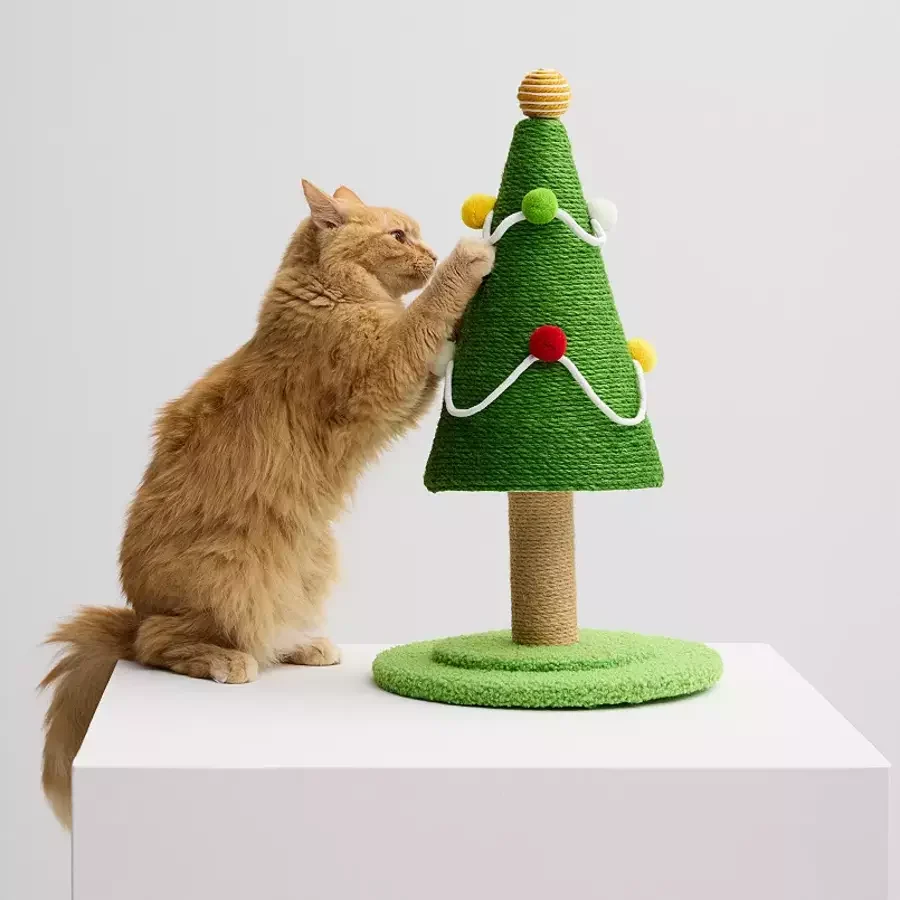 Christmas With the Cats? Skip The Tree and Do This Instead - Parade ...