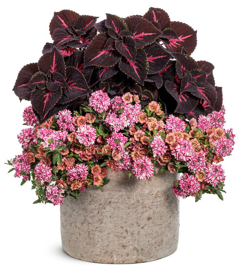 Spring Planter Ideas: 27 Container Garden Combos We Love - Parade Home ...