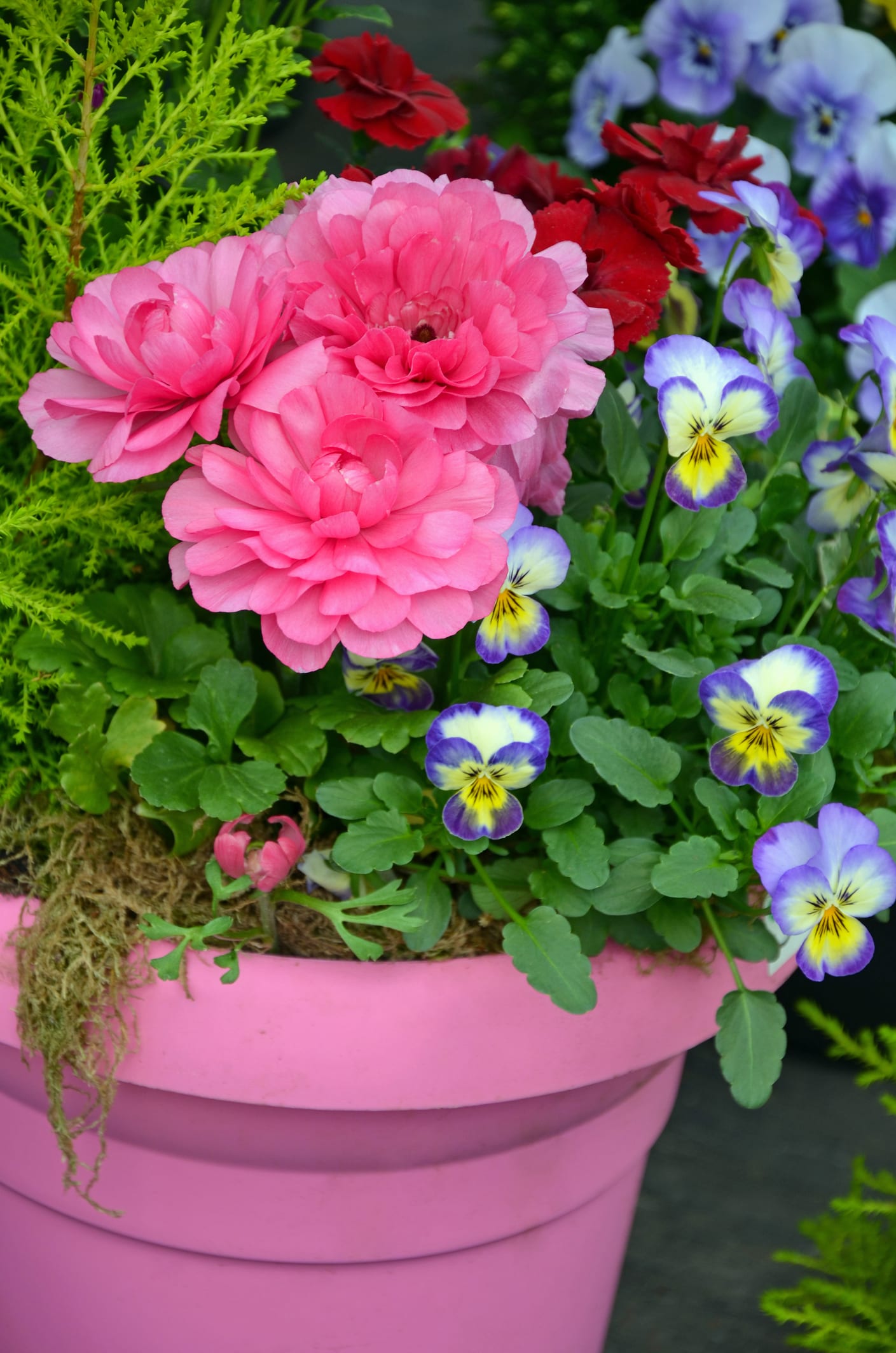 Spring Planter Ideas: 27 Container Garden Combos We Love - Parade Home ...