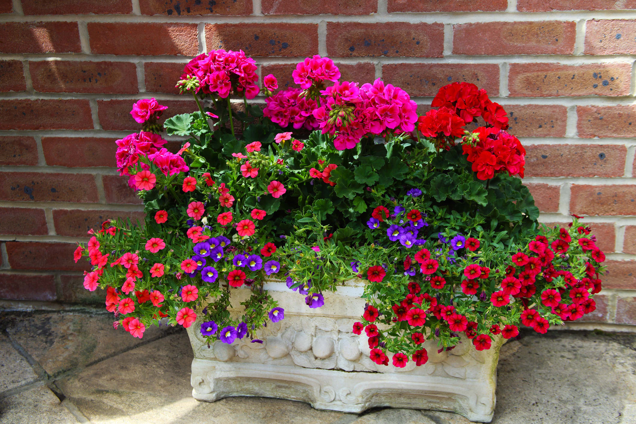 Spring Planter Ideas: 27 Container Garden Combos We Love - Parade Home ...