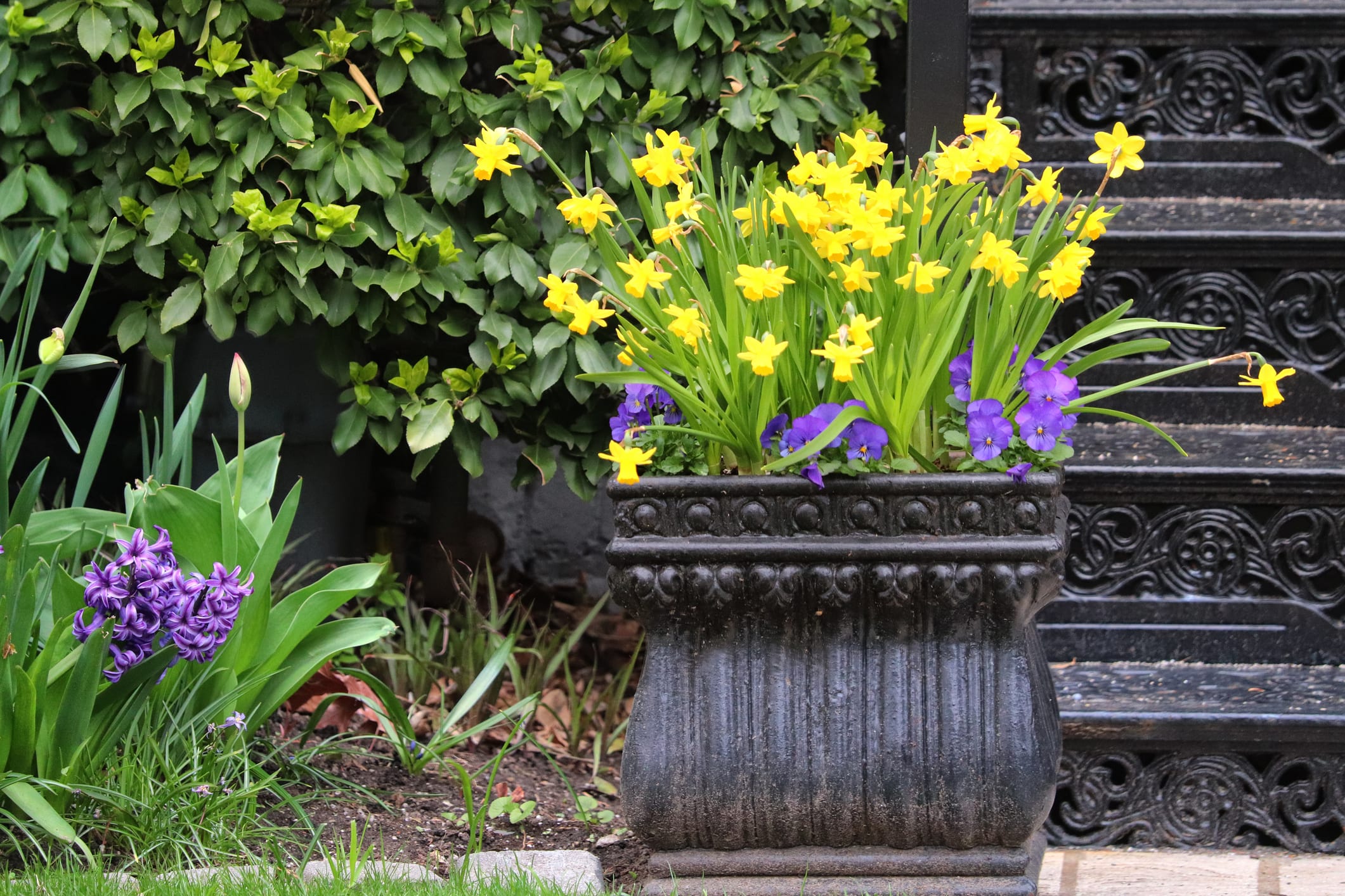 Spring Planter Ideas: 27 Container Garden Combos We Love - Parade Home ...