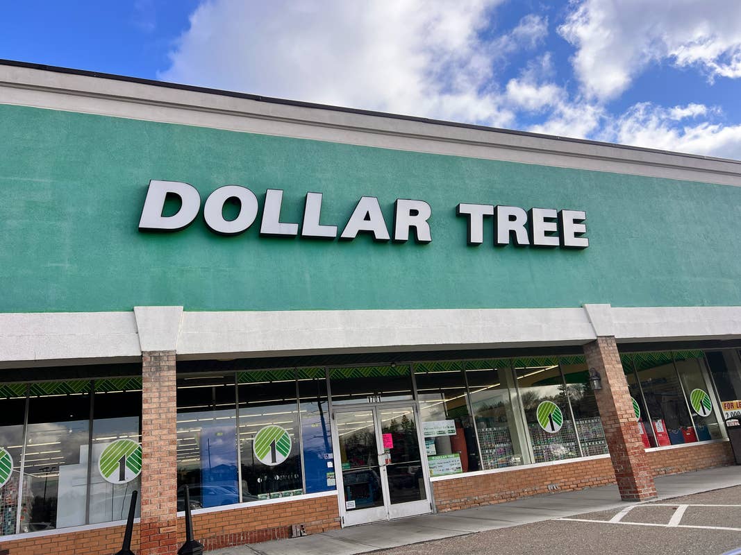 Dollar Tree Has the Prettiest Garden Stakes for Just $5 Each - Parade ...