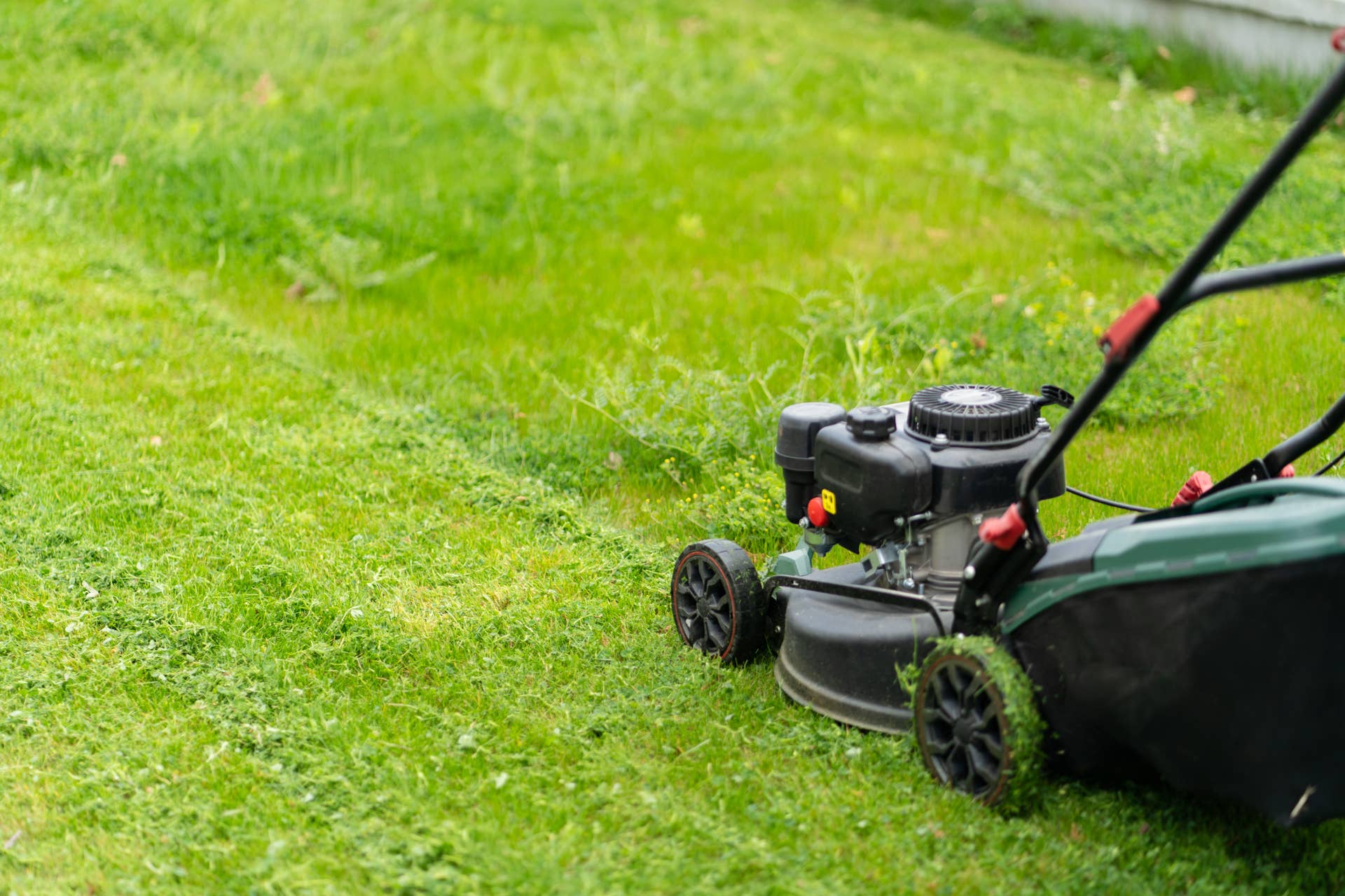Parade Home & Garden: Expert Decor Tips, Gardening Guides & Latest Trends