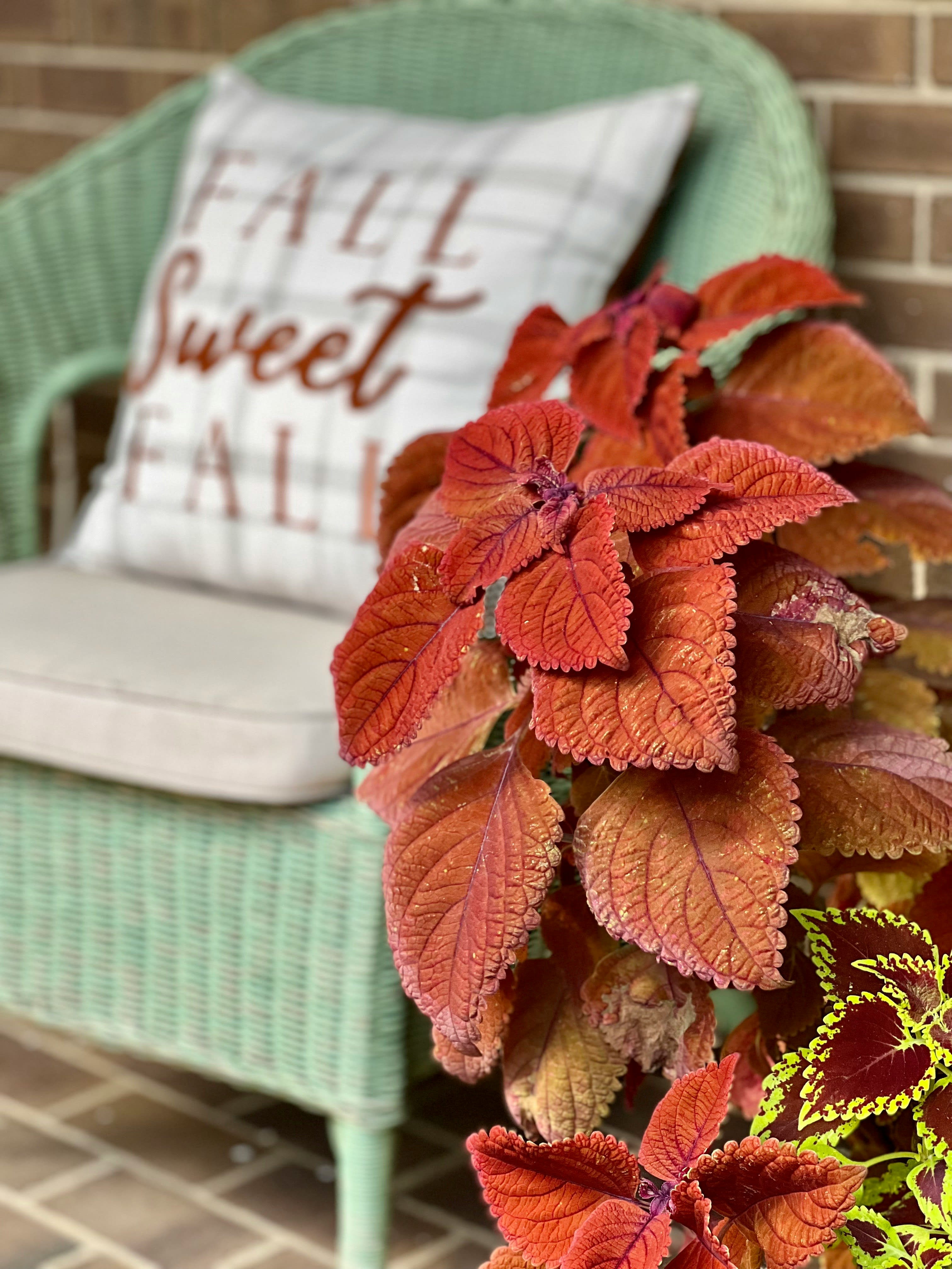 30 Fall Planter Ideas - Parade Home & Garden