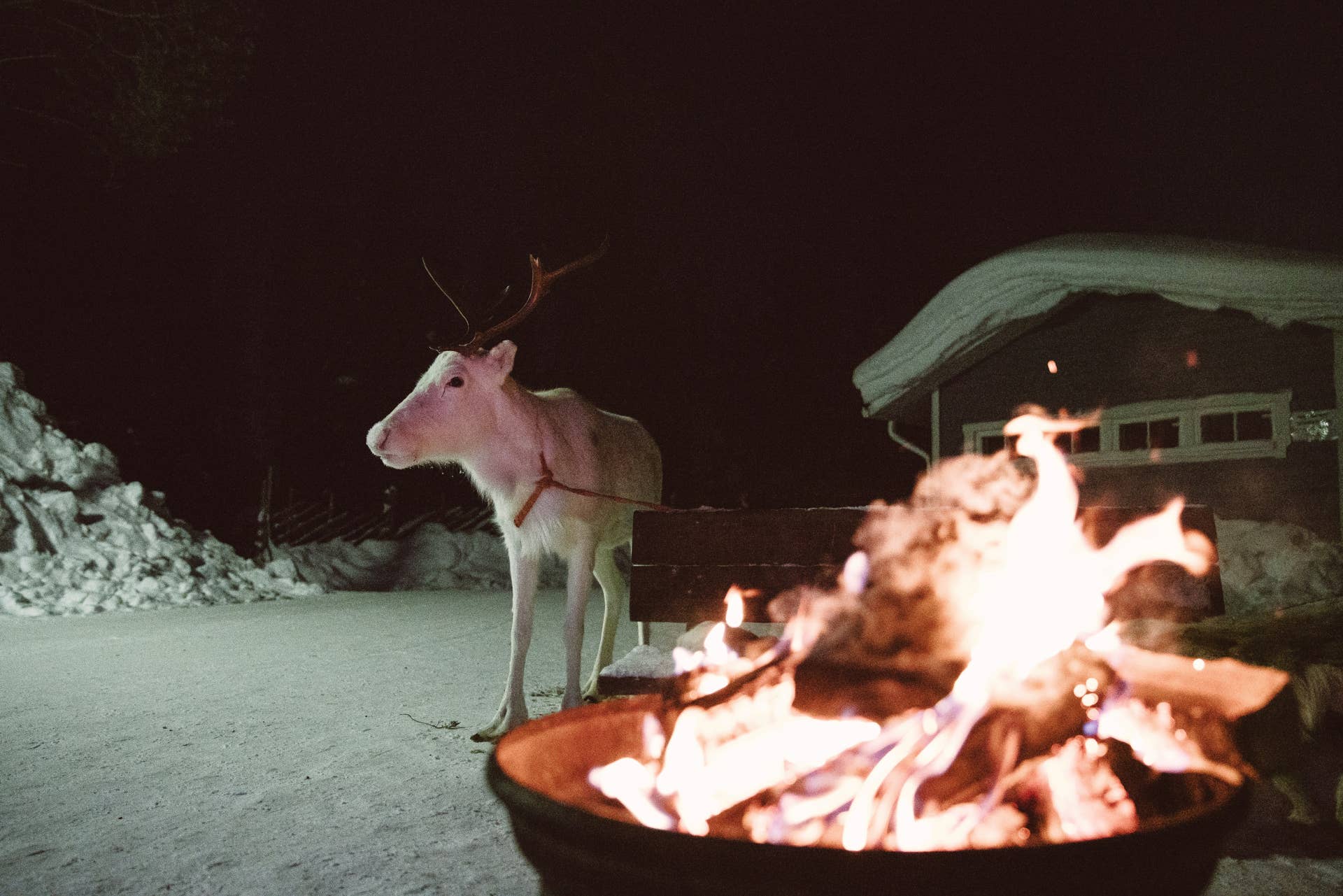 Christmas Party Ideas to Suit All Tastes - Parade Home & Garden