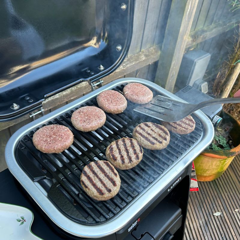 Weber Lumin Compact Electric Grill Review - Parade Home & Garden
