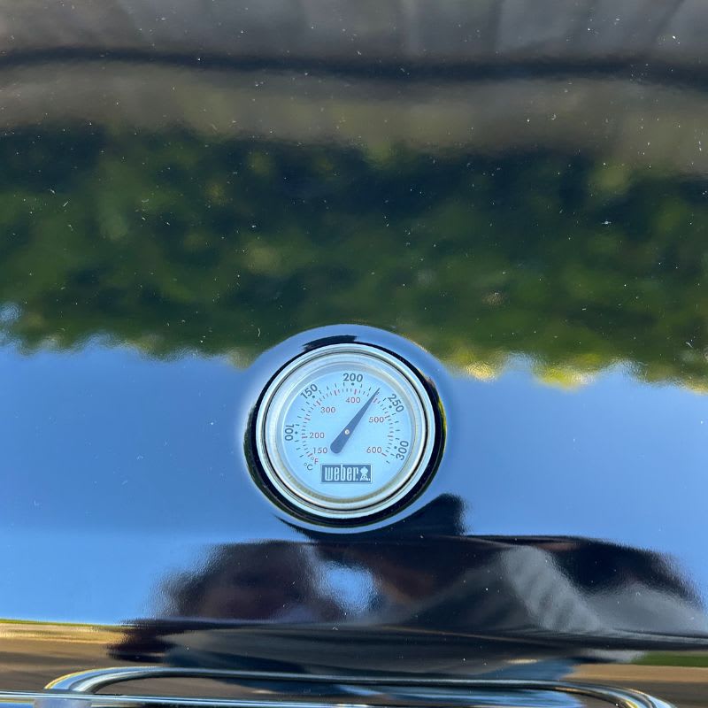 Weber Lumin Compact Electric Grill Review - Parade Home & Garden